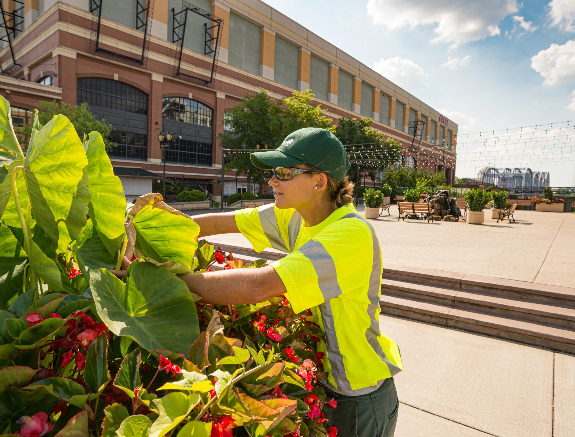 Local Tree Services & Lawn Care | Wickes/arborists, a Davey Co.